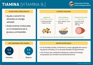 Beneficios y efectos de la tiramina en la salud - PSICOLOGÍAVITAE