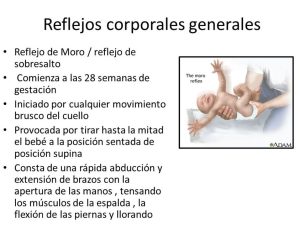 El Fenómeno del Reflejo de Moro: Qué Es y Cómo Funciona - PSICOLOGÍAVITAE