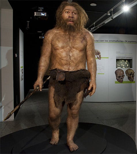 Homo Sapiens Idaltu: Misterios Ancestrales del Pasado Humano ...