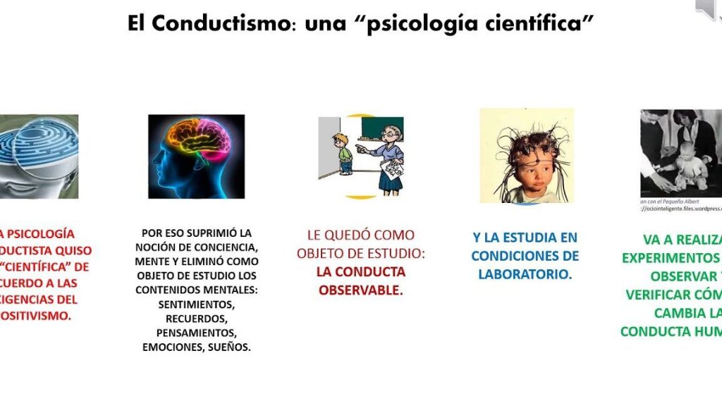 Condicionamiento del Estímulo: Impacto y Aplicaciones - PSICOLOGÍAVITAE